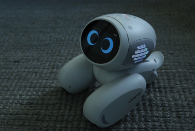 Domgy - Le robot de compagnie imaginé par Roobo
